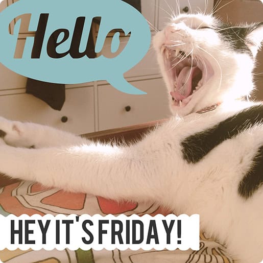 tgih: hello- hey it’s friday!